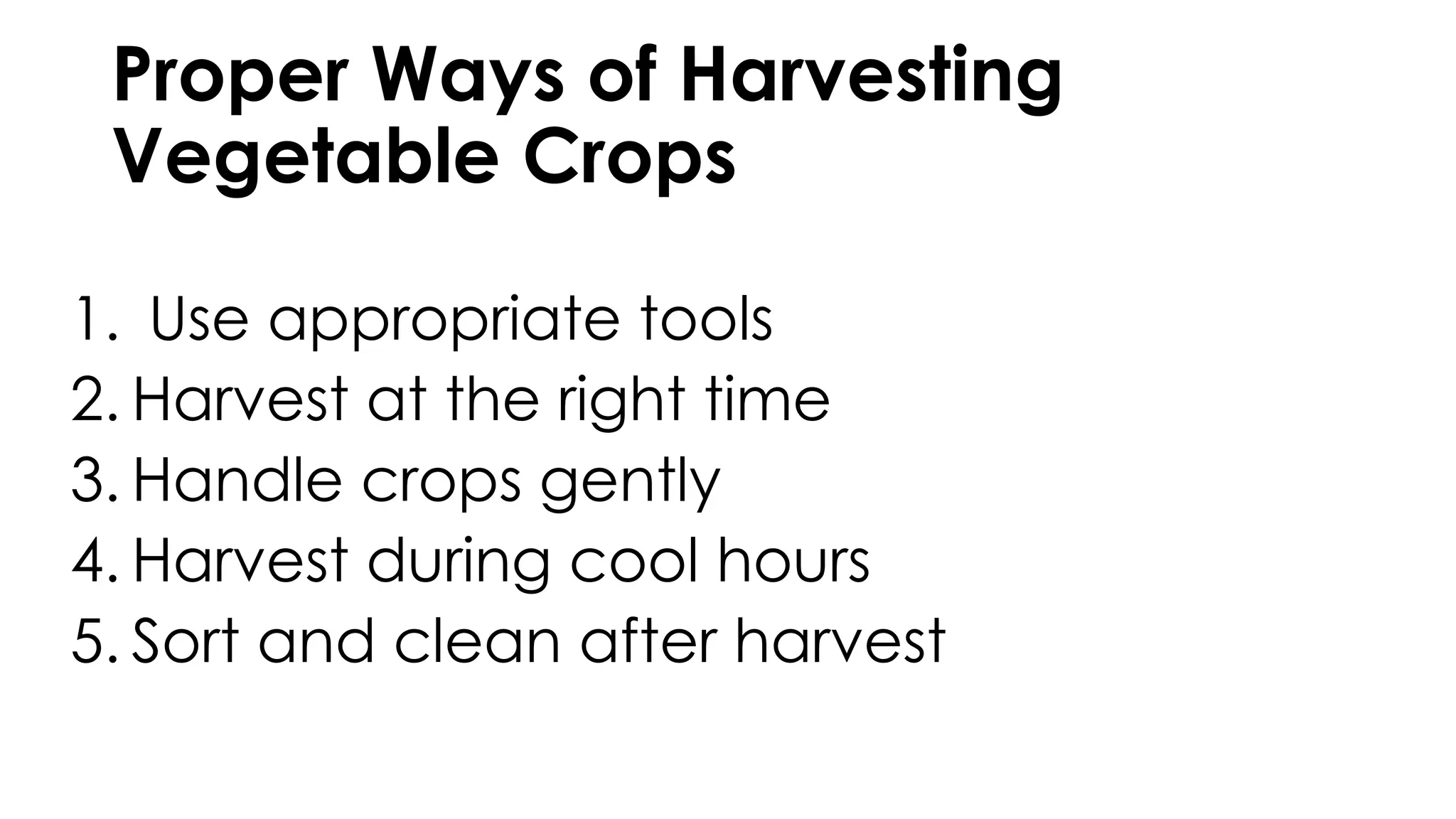 PRACTICE OF HARVESTING VEGETABLE CROPS.pptx