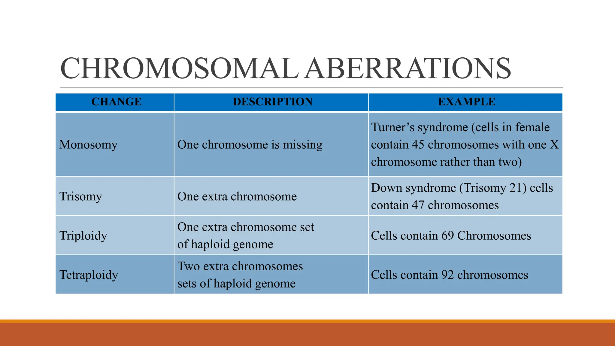 Practice_PPT.pptx