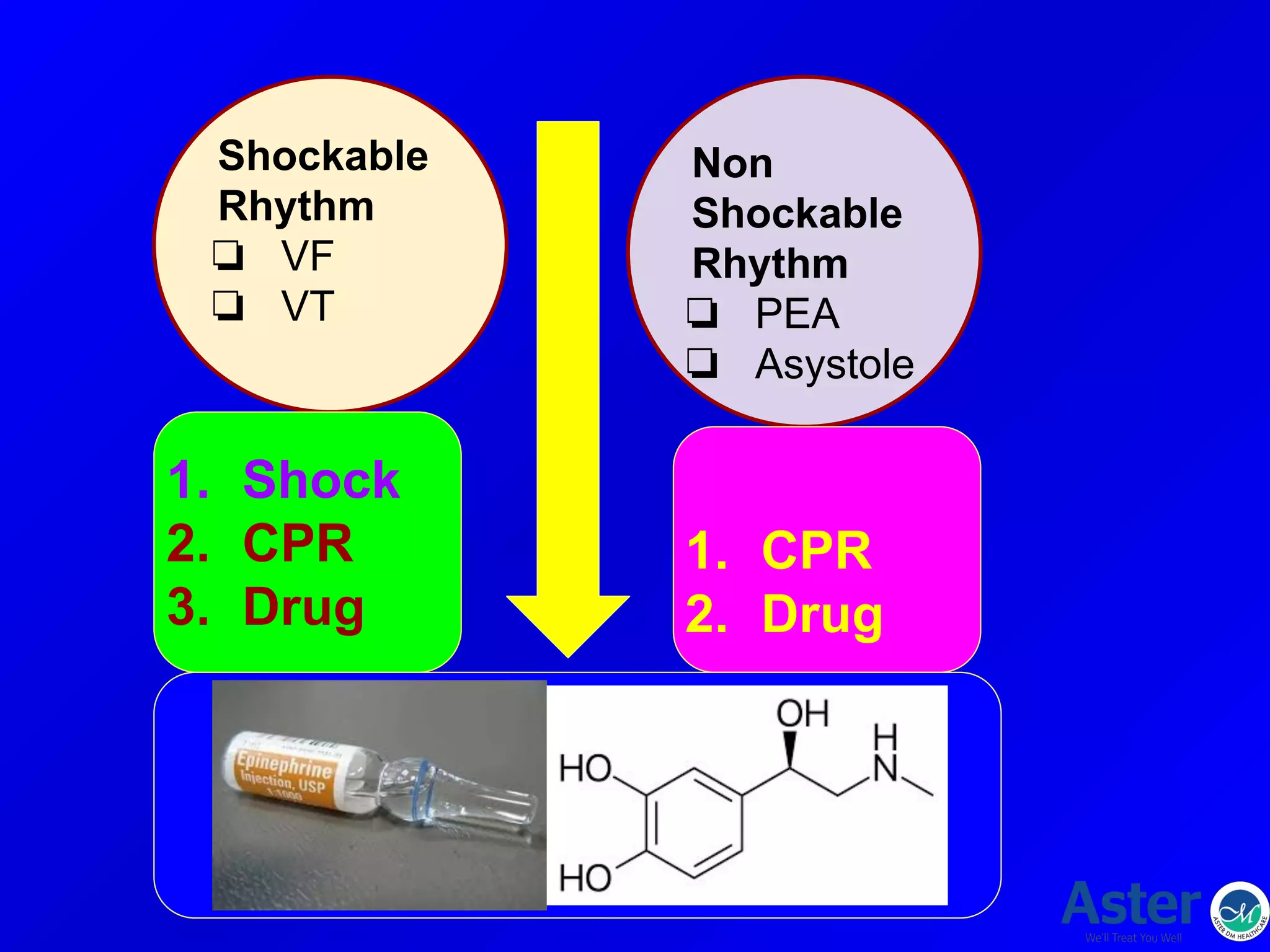 Practice principles in advanced life support pharmacotherapy | PDF