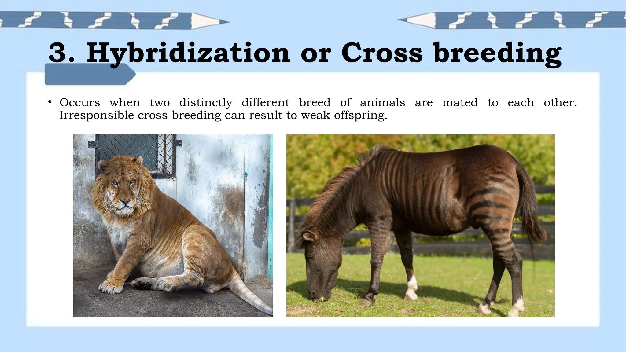 PRACTICES AND TECHNIQUES BIOTECH.pptx STE | PPTX