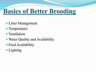 Practices related to brooding.pptx