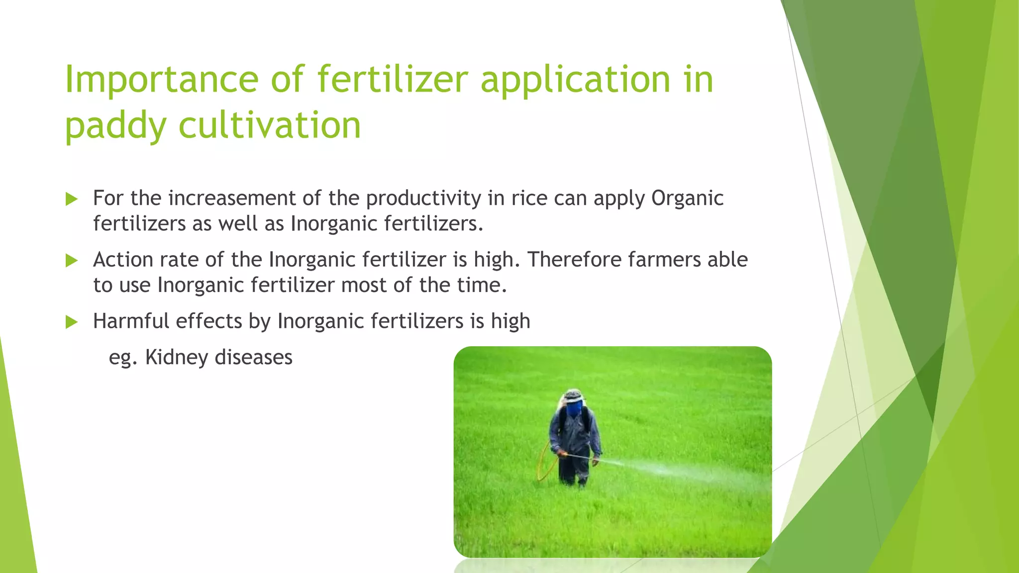 Practices to be adapted to improve fertilizer use efficiency in rice ...