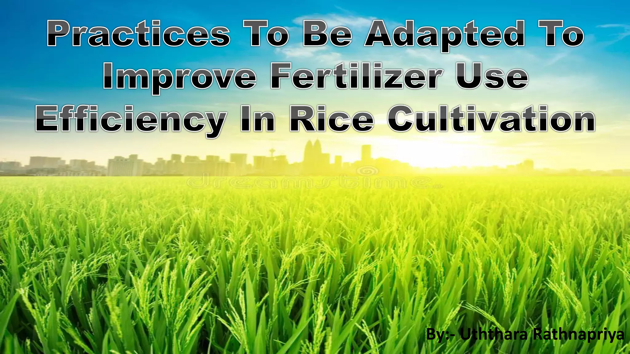 Practices to be adapted to improve fertilizer use efficiency in rice ...