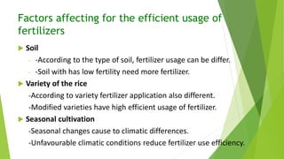 Practices to be adapted to improve fertilizer use efficiency in rice ...