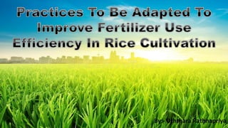Practices to be adapted to improve fertilizer use efficiency in rice ...