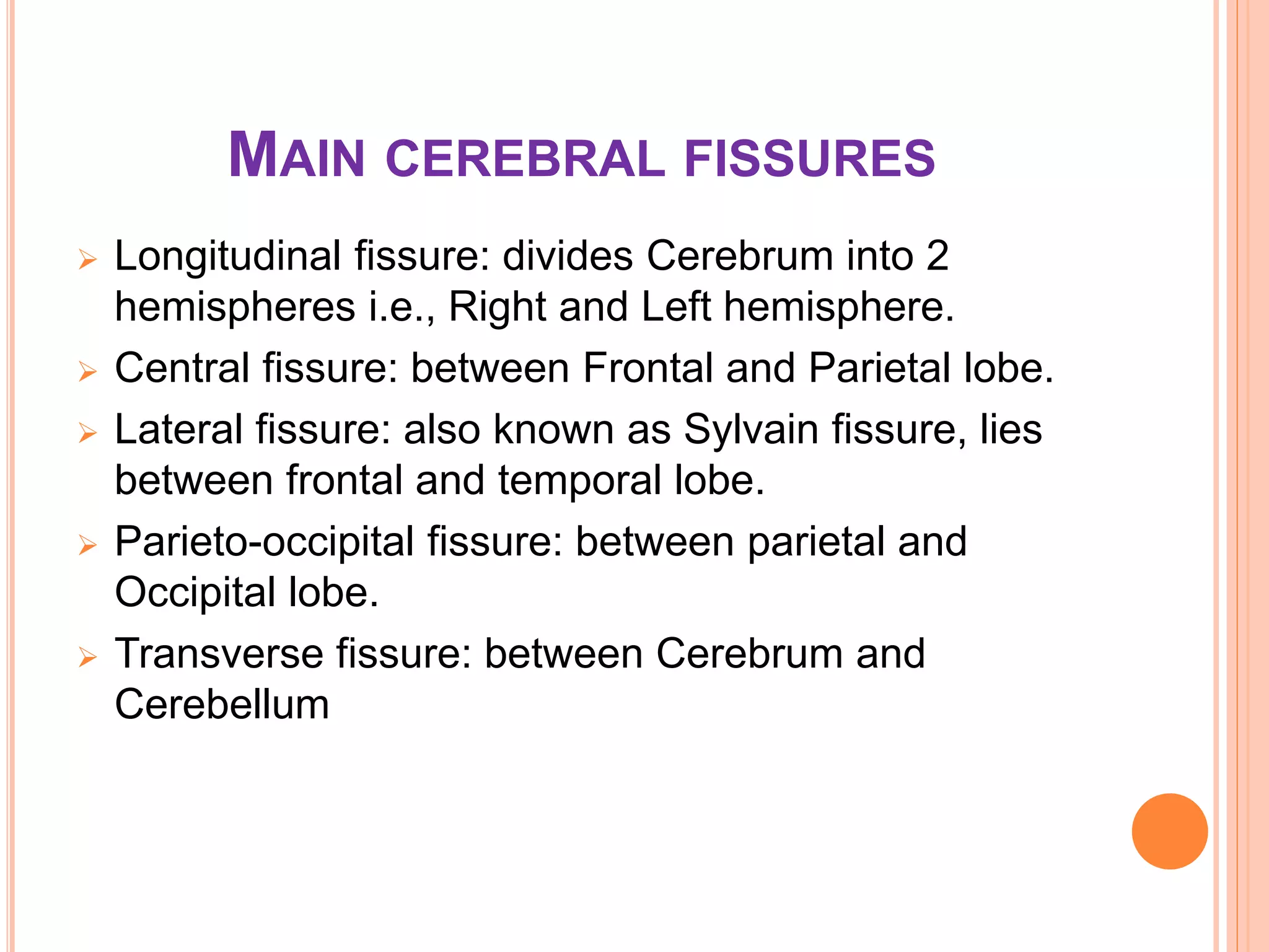 Structure and Functions of cerebrum | PPTX