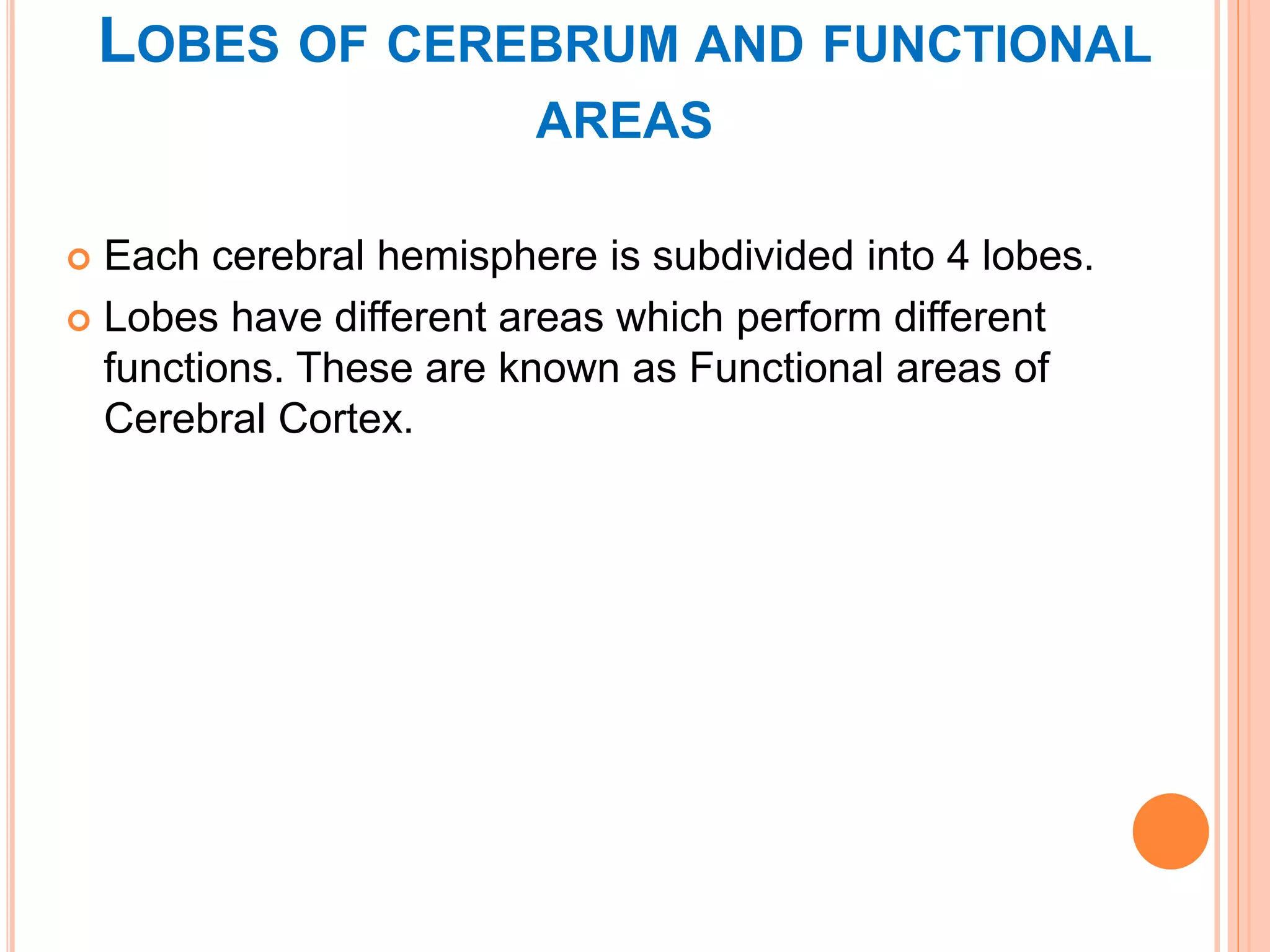 Structure and Functions of cerebrum | PPTX