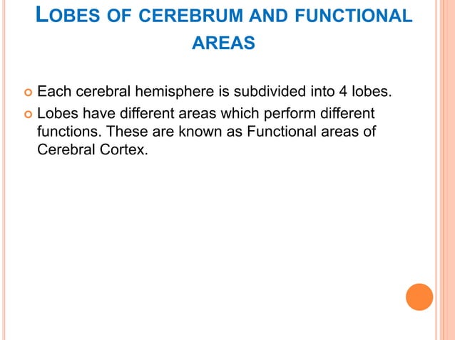 Structure and Functions of cerebrum | PPTX | Brain and Nervous System ...