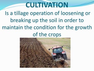 Practice weeding and cultivation | PPTX