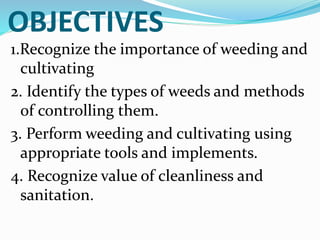 Practice weeding and cultivation | PPTX