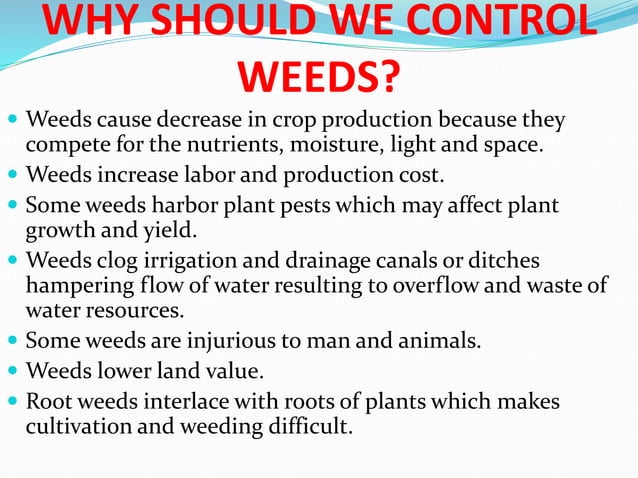 Practice weeding and cultivation | PPTX | Agriculture | Industries