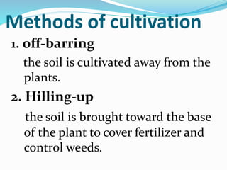 Practice weeding and cultivation | PPT