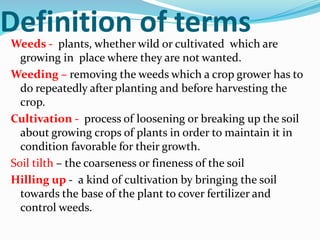 Practice weeding and cultivation | PPTX | Agriculture | Industries
