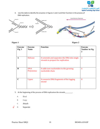 Practice Worksheet for SBQ1-AK[1].pdf