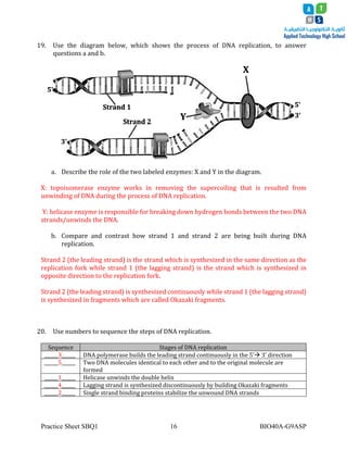 Practice Worksheet for SBQ1-AK[1].pdf
