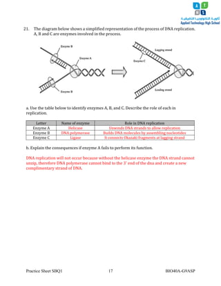 Practice Worksheet for SBQ1-AK[1].pdf