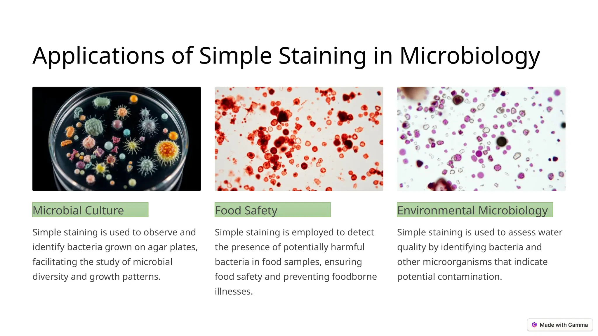 practic microbiology presentation .pptx