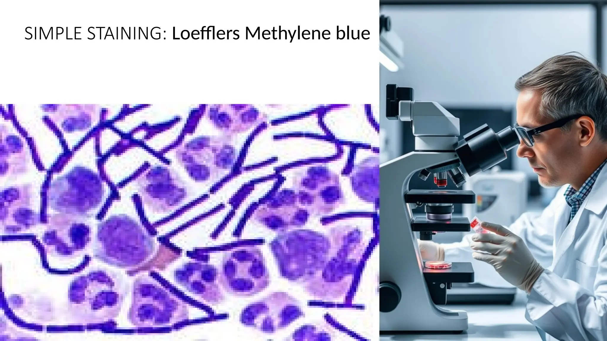 practic microbiology presentation .pptx