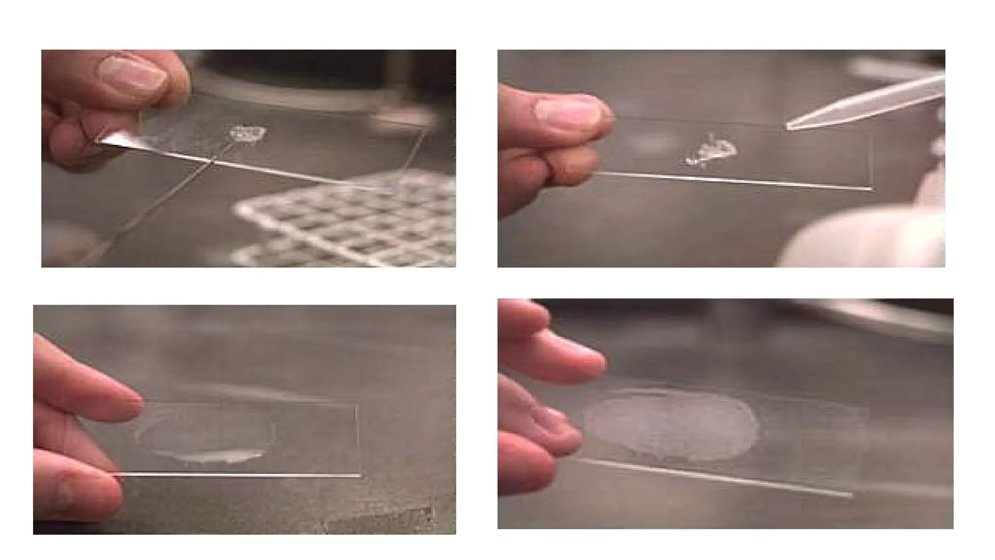 practic microbiology presentation .pptx