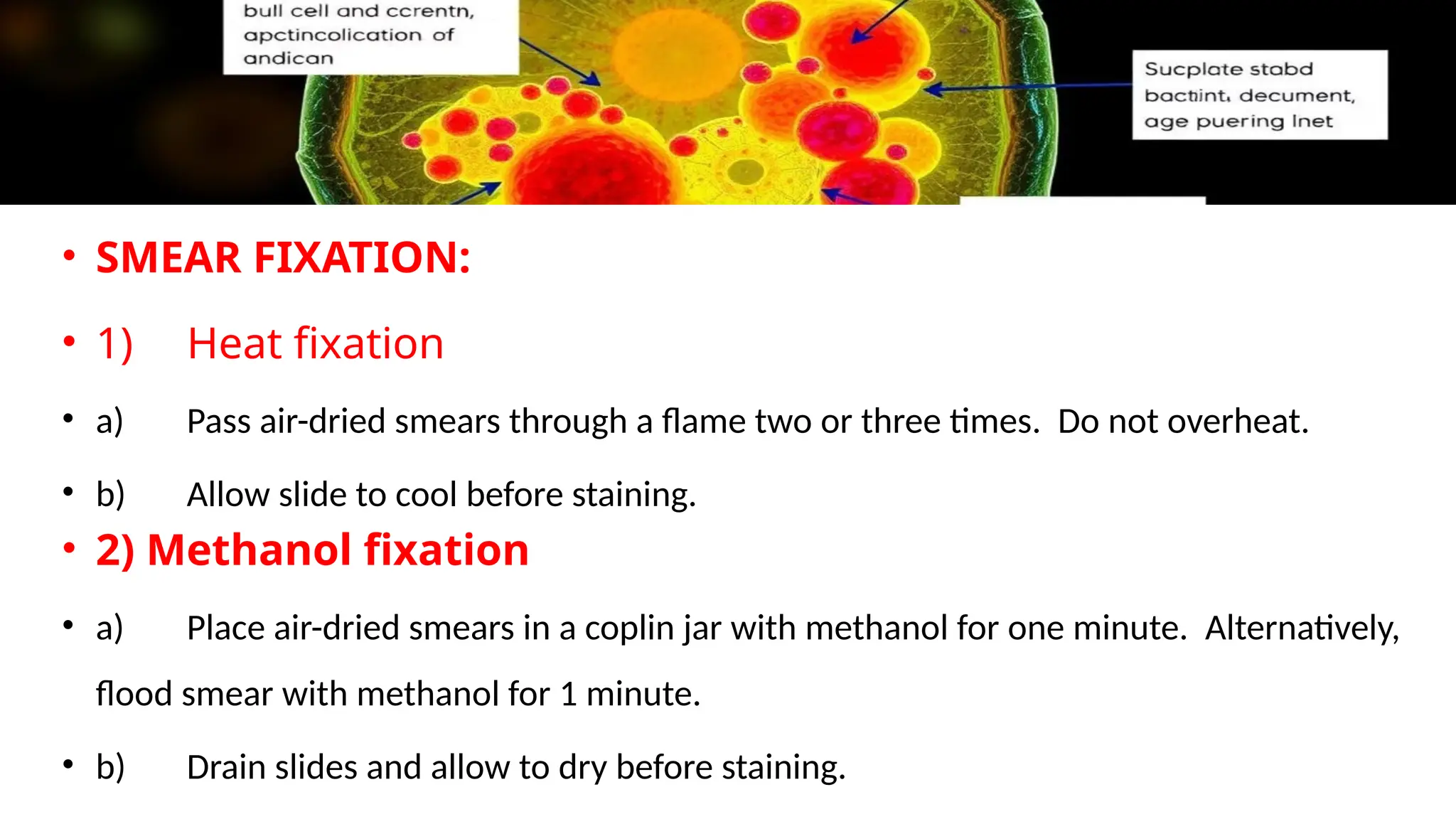practic microbiology presentation .pptx