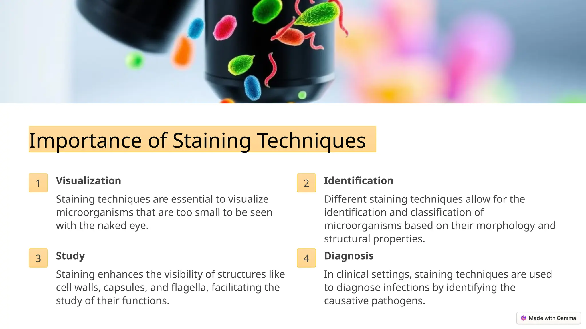 practic microbiology presentation .pptx