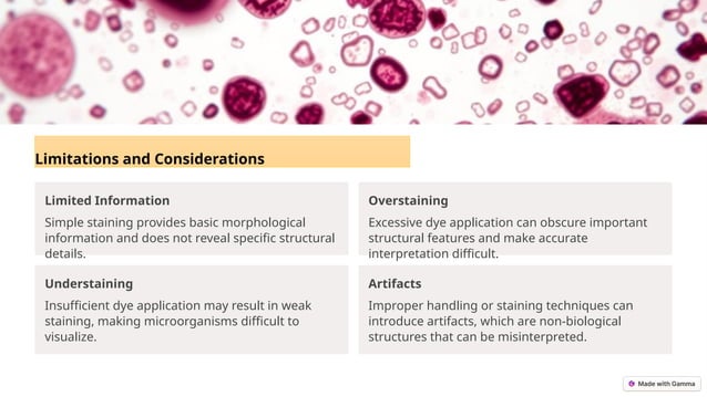 practic microbiology presentation .pptx
