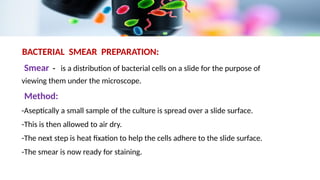 practic microbiology presentation .pptx