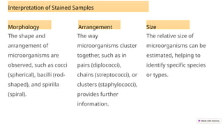 practic microbiology presentation .pptx