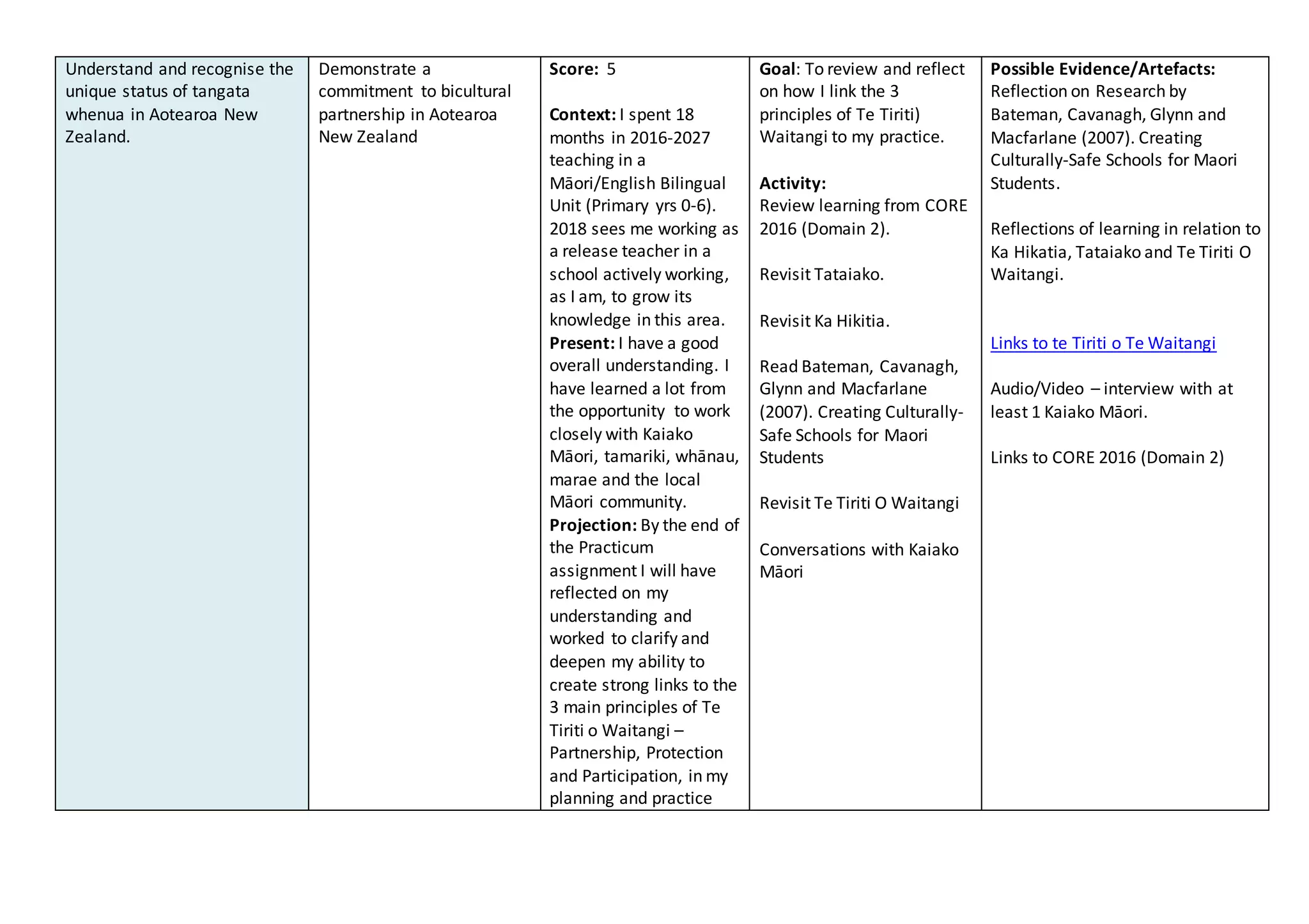 Practicum Plan Before Formative Feedback | DOCX