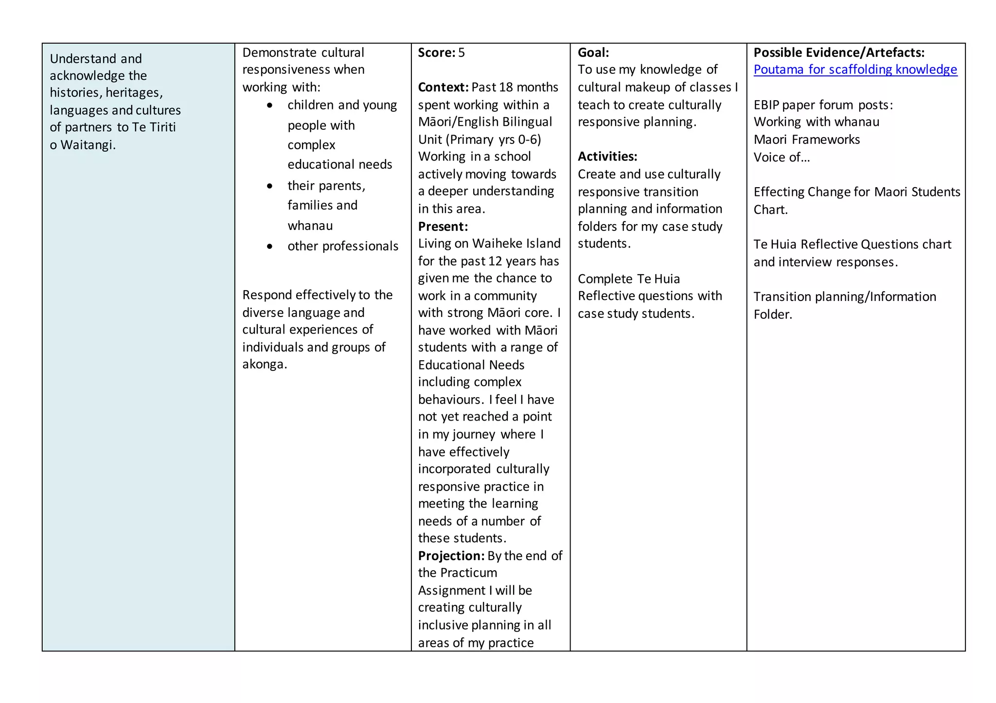 Practicum Plan Before Formative Feedback | DOCX