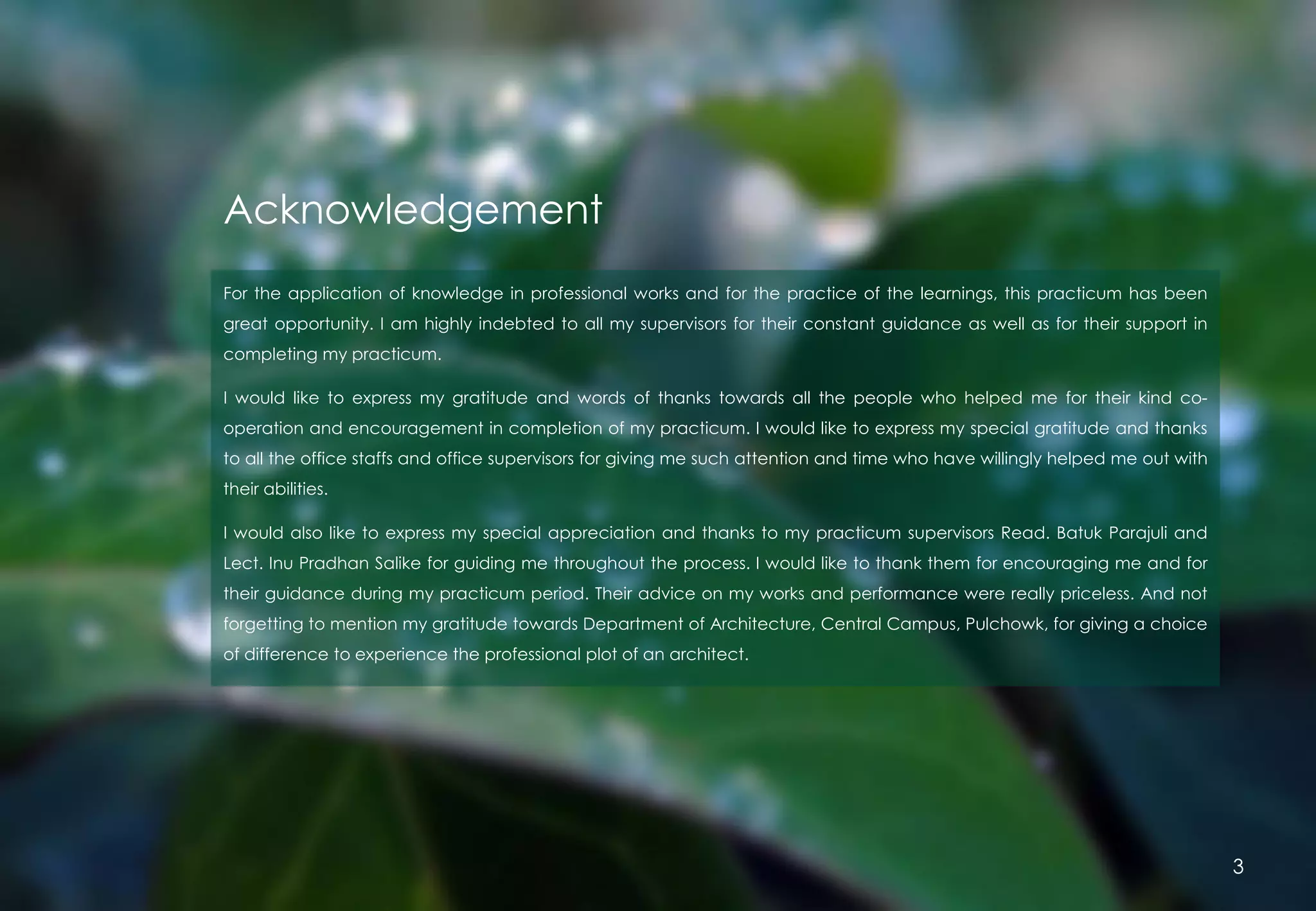 Practicum Report - Angela Subedi | PDF