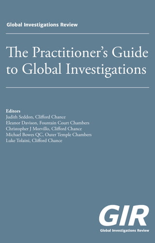 Practitioner's Guide to Global Investigation | PDF