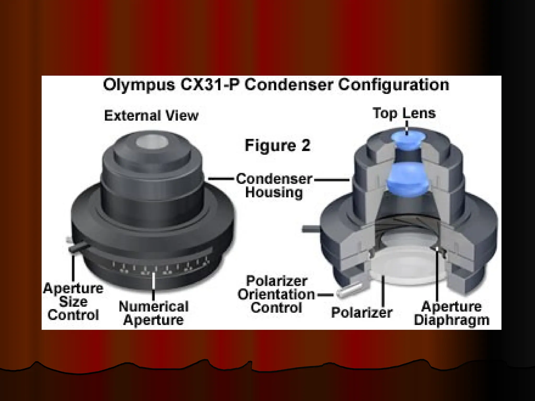 Pract no-1 MIcroscopy didcripation practical | PPT