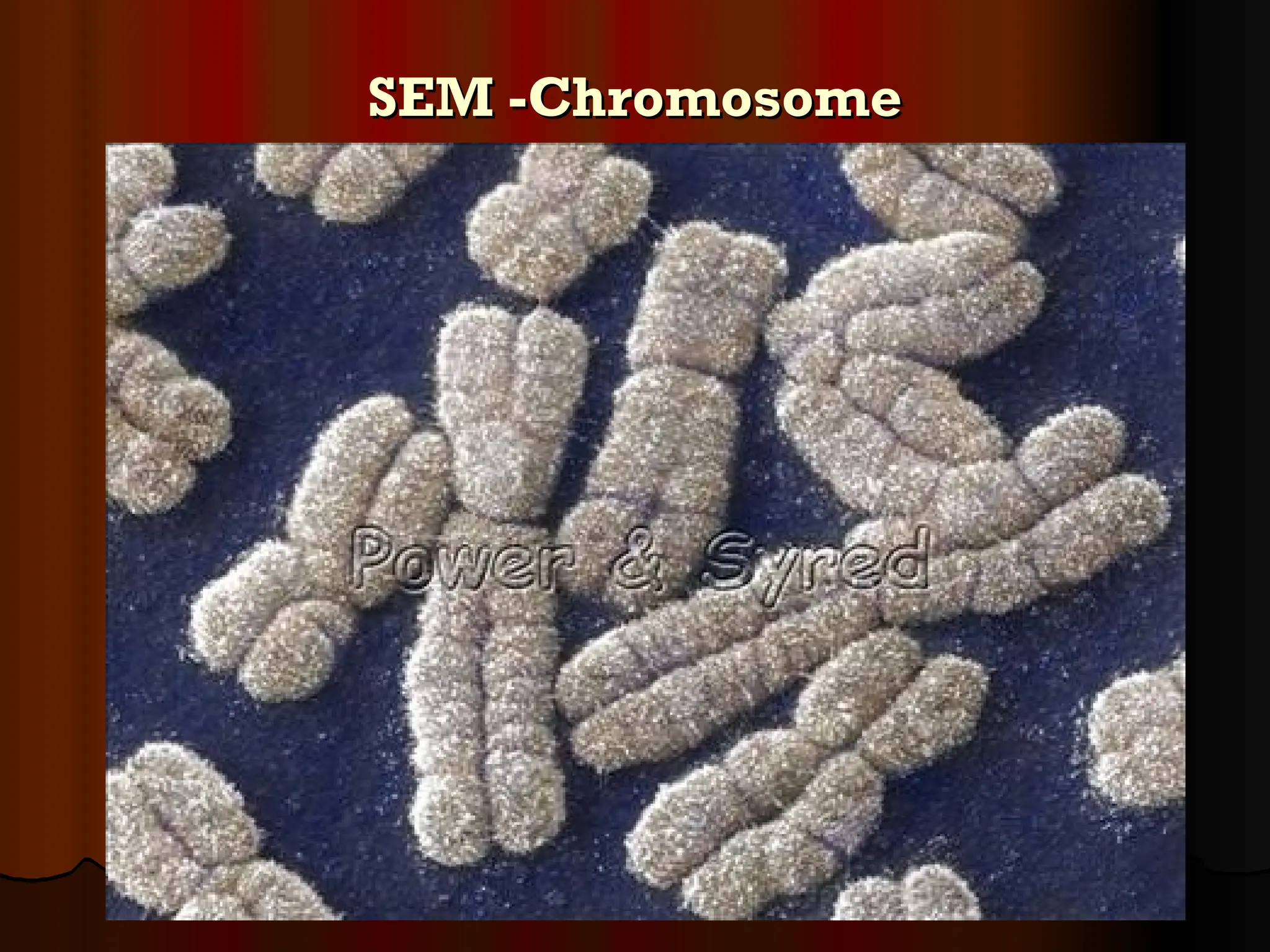 Pract no-1 MIcroscopy didcripation practical | PPT