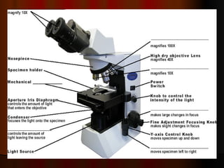 Pract no-1 MIcroscopy didcripation practical | PPT