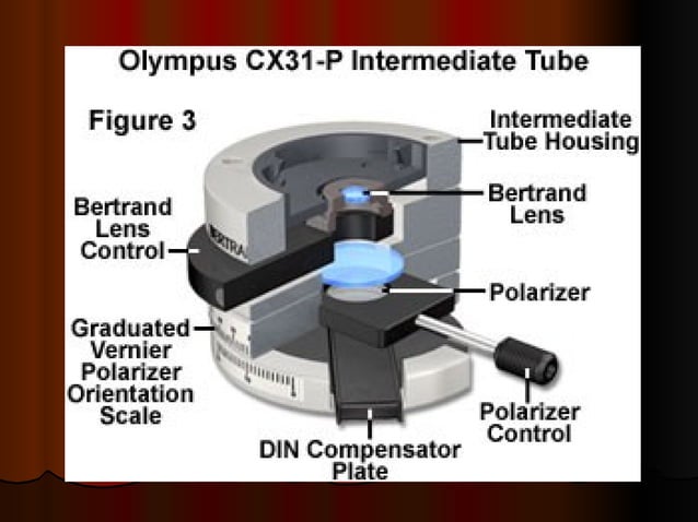 Pract no-1 MIcroscopy didcripation practical | PPT
