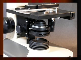 Pract no-1 MIcroscopy didcripation practical | PPT