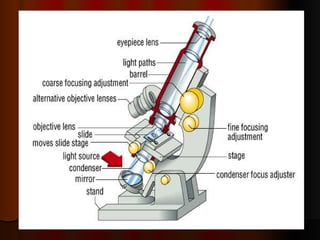 Pract no-1 MIcroscopy didcripation practical | PPT