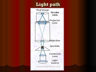 Pract no-1 MIcroscopy didcripation practical | PPT