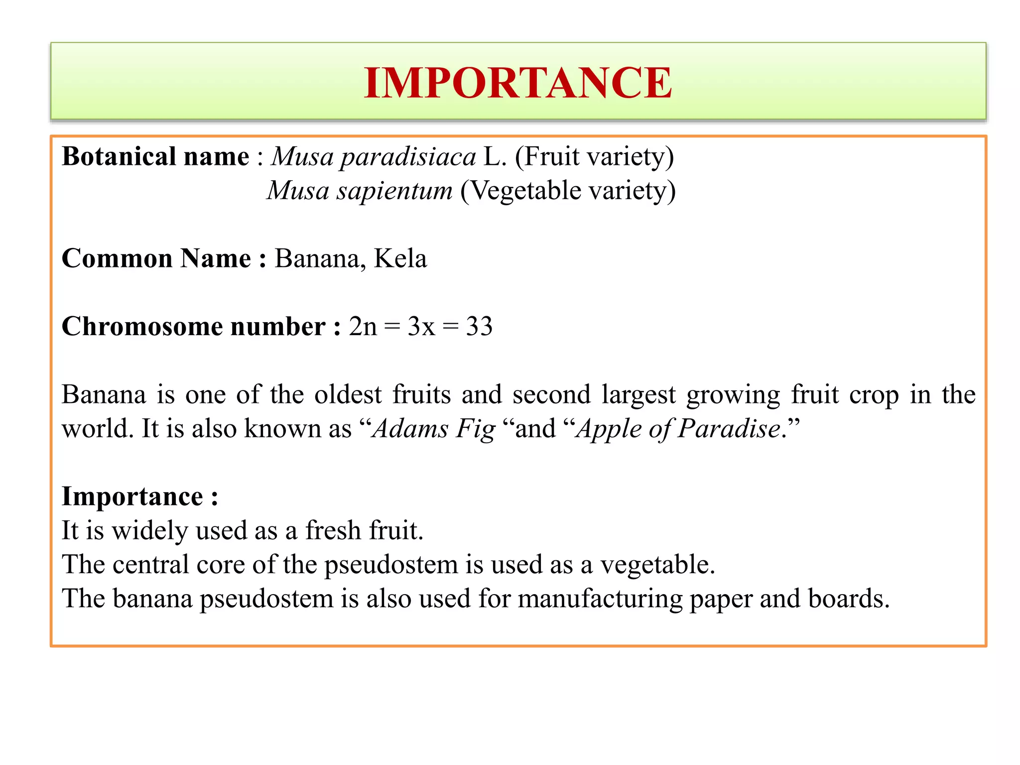 Pract no. 9 (a) floral biology of banana | PPT