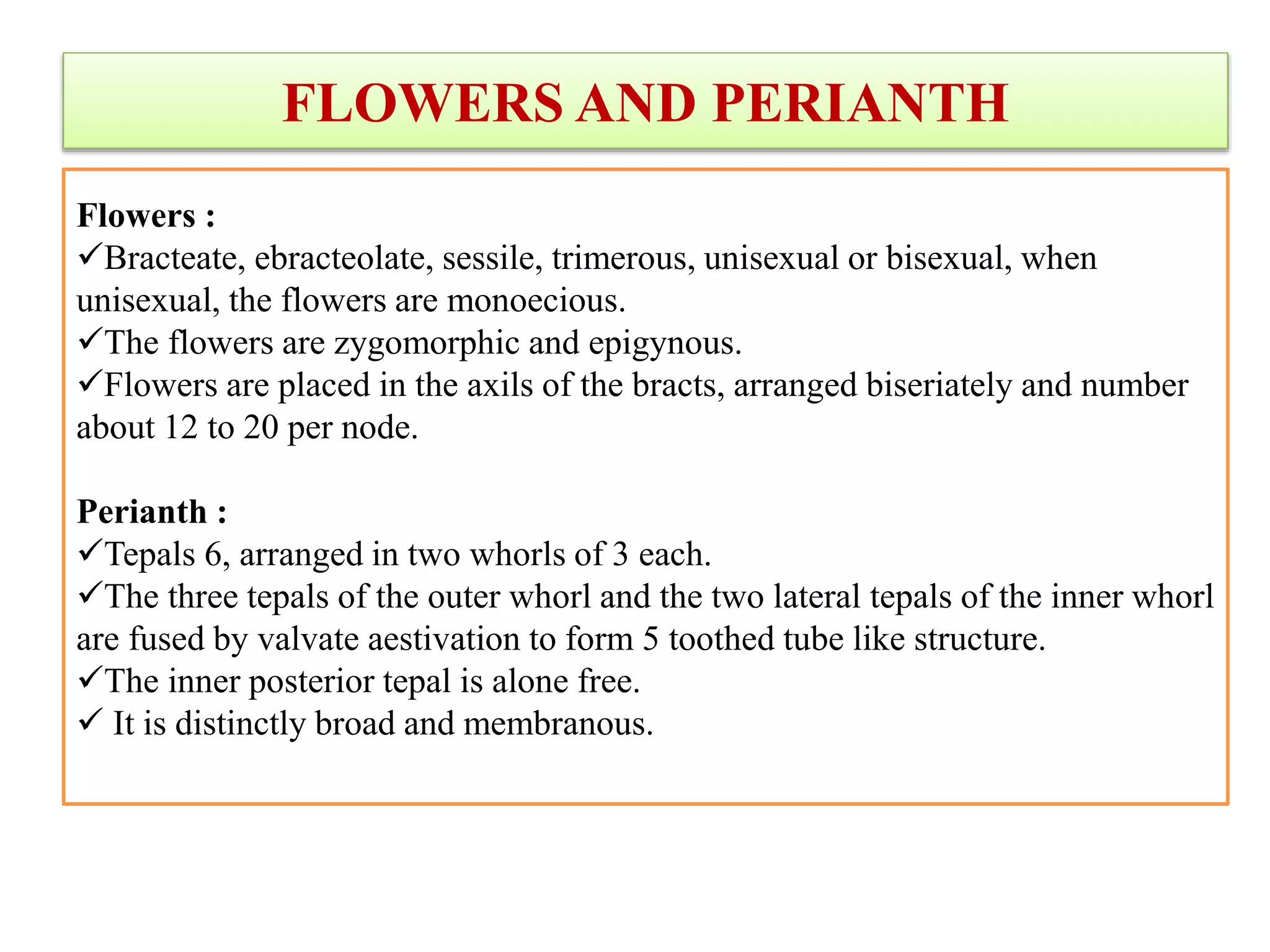 Pract no. 9 (a) floral biology of banana | PPT