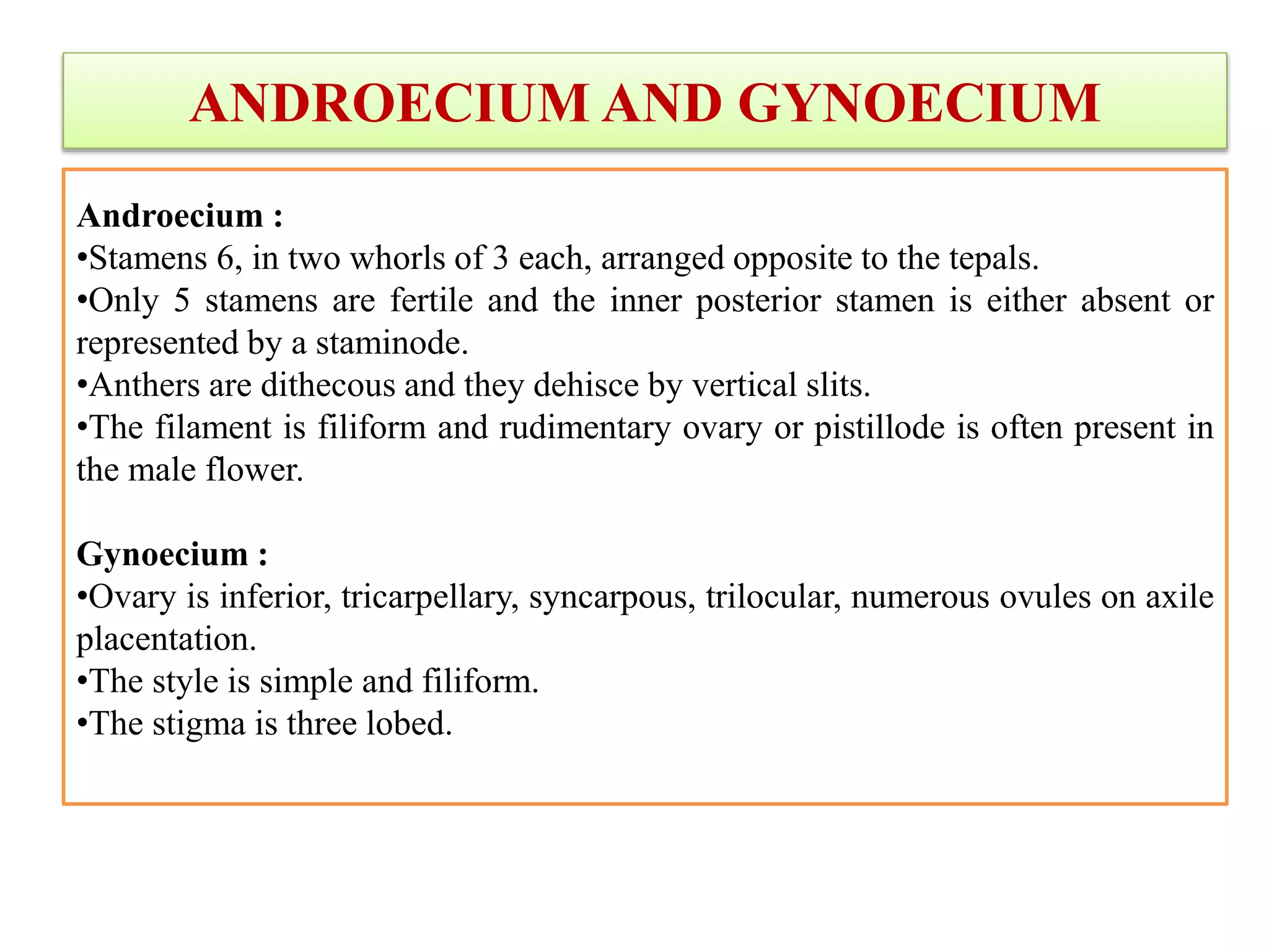 Pract no. 9 (a) floral biology of banana | PPT