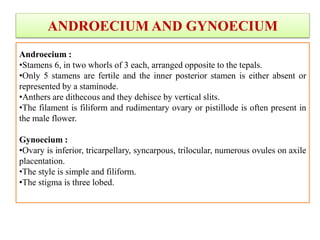 Pract no. 9 (a) floral biology of banana | PPT