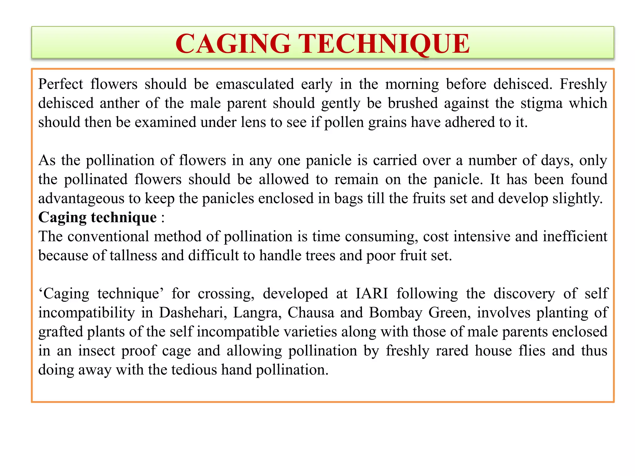 Pract no. 9 (b) floral biology of mango | PPT