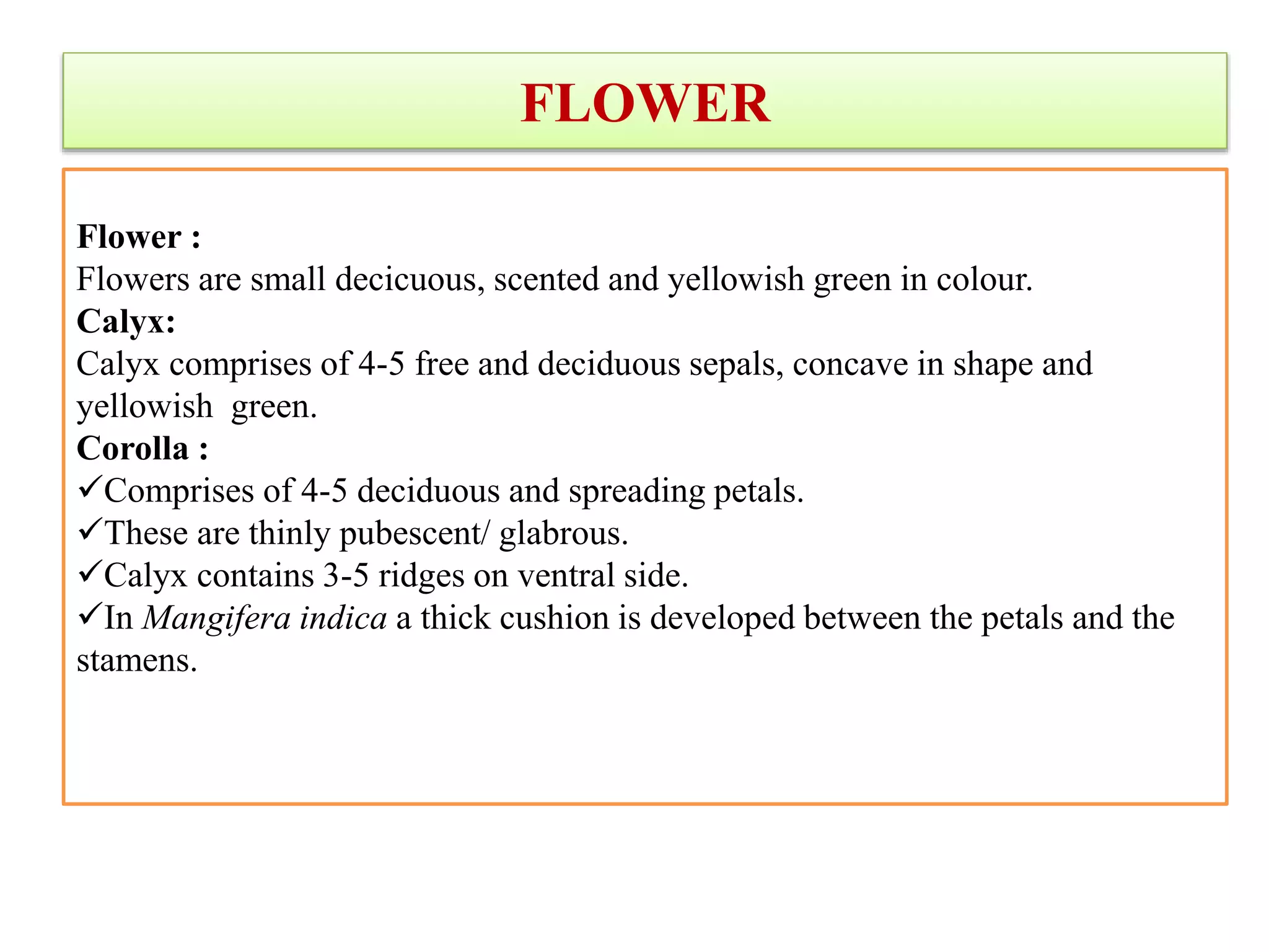 Pract no. 9 (b) floral biology of mango | PPT