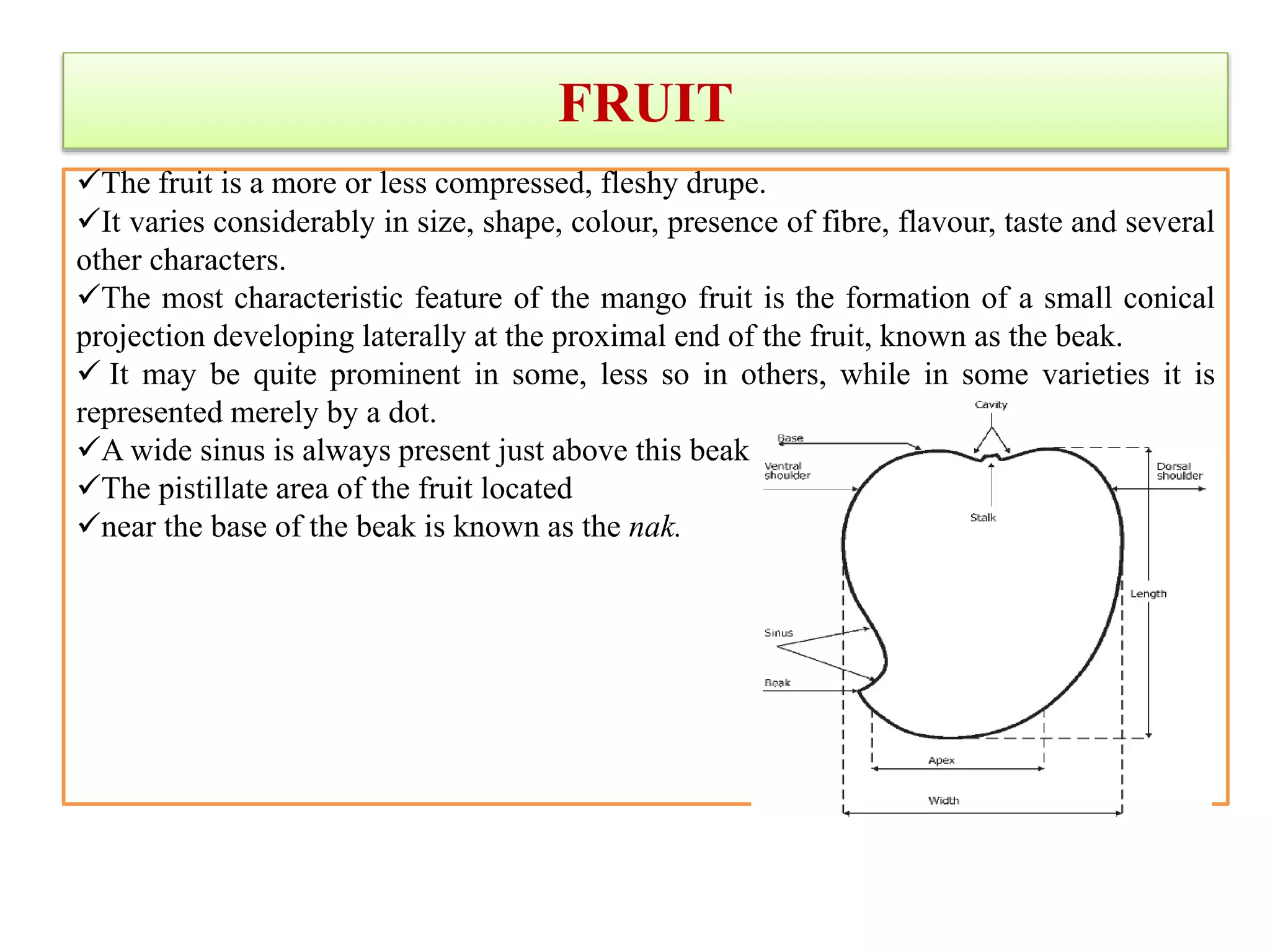 Pract no. 9 (b) floral biology of mango | PPT