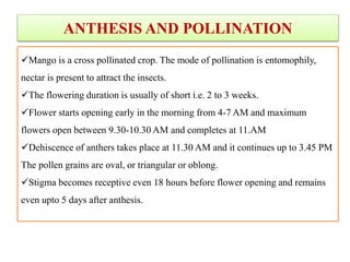 Pract no. 9 (b) floral biology of mango | PPT