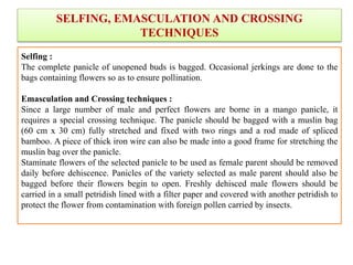 Pract no. 9 (b) floral biology of mango | PPT