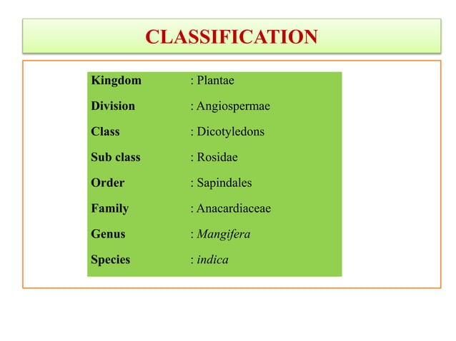 Pract no. 9 (b) floral biology of mango | PPT