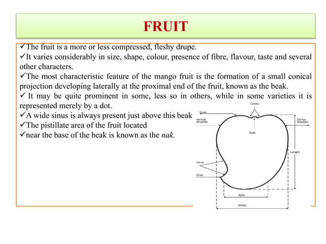 Pract no. 9 (b) floral biology of mango | PPT